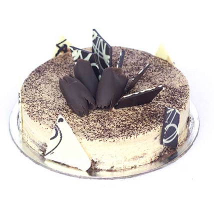 Tiramisu Cake - Bakings