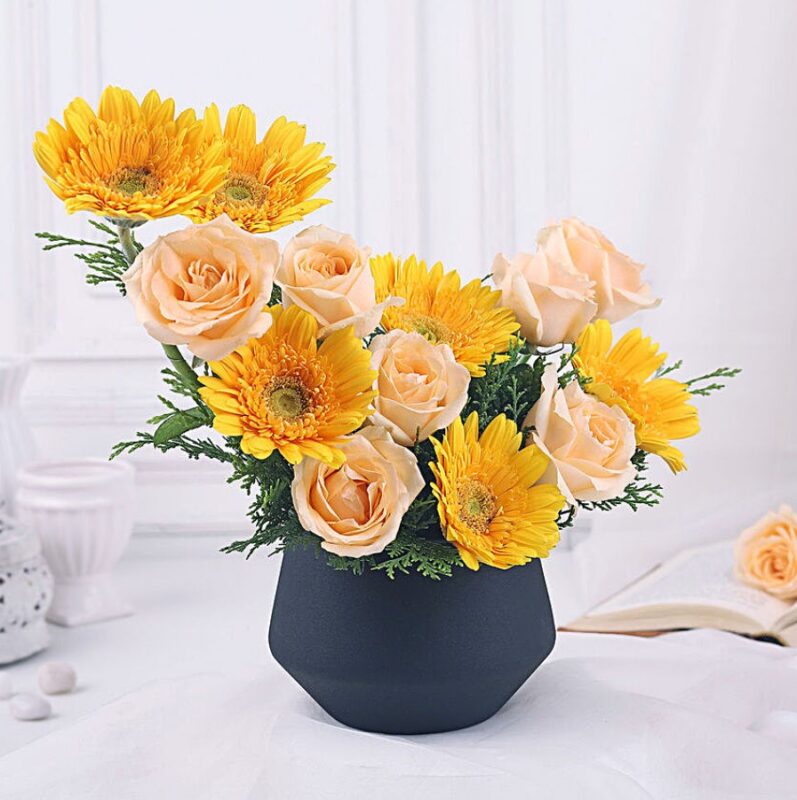 Gleaming Rose and Gerbera Ensemble - Bakings