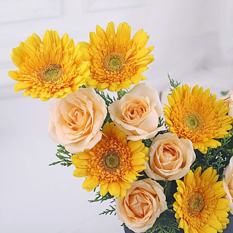Gleaming Rose and Gerbera Ensemble - Bakings